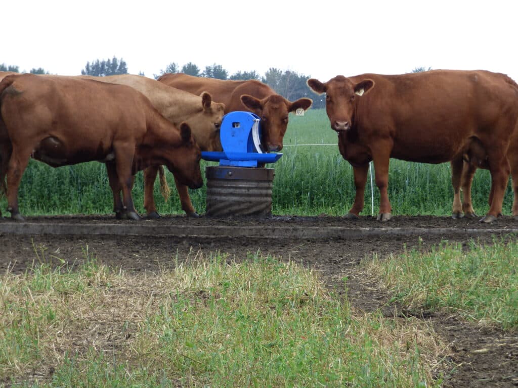 Solar Livestock Waterer | Frostfree Nosepumps